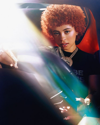 Second Life Marketplace - delight: ice spice canvas