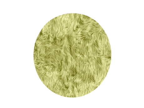 Second Life Marketplace - (L&K DECOR EMPORIUM) Round Fur Rug-Muppet Green