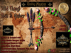 Second Life Marketplace - Wild Thang Bow - UM 2.5 UNITY MAXIM