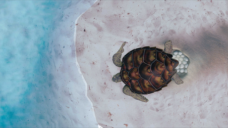 Second Life Marketplace - Nesting Turtle by Lotus Li