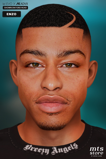 Second Life Marketplace - [MTS] - Fatpack // FACE SKIN Evox ( Enzo )