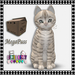 Second Life Marketplace - KittyCatS Box - 9+1T MegaPuss Toyger - Snow M