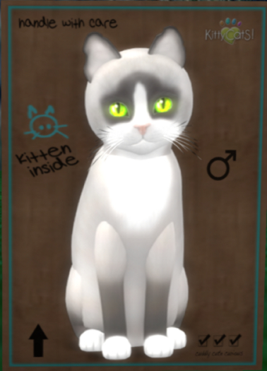 Second Life Marketplace - KittyCatS Box - Rory (male)