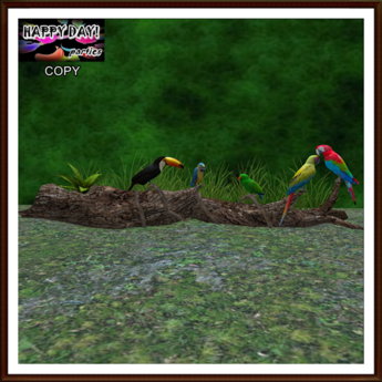 Second Life Marketplace - Jungle - Birds on Trunk