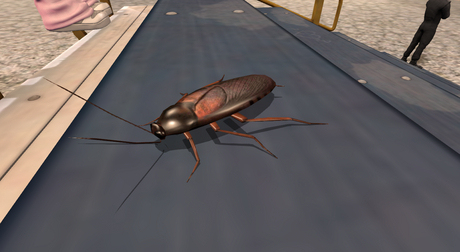 Second Life Marketplace - .:XS:.Cockroach avatar v1.3