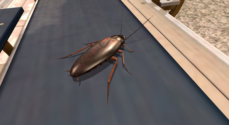 Second Life Marketplace - .:XS:.Cockroach avatar