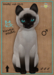 Second Life Marketplace - KittyCatS Box - 3T+1 Teacup M Siamese - Seal