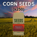 Second Life Marketplace - MyStory Seeds (Corn) x250