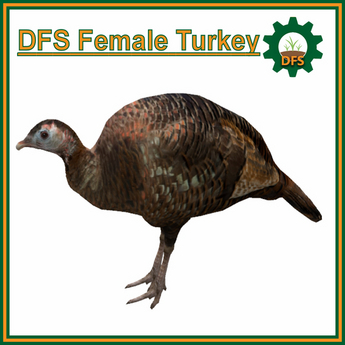Second Life Marketplace - DFS Turkey Female