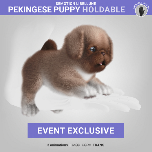 Second Life Marketplace - SEmotion Libellune Pekingese Puppy Holdable ...