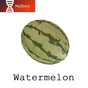 Second Life Marketplace - MyStory_Watermelon