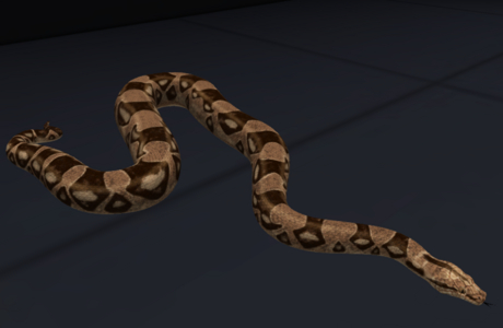 Second Life Marketplace - /AVP/ Snake *WEAR ME*