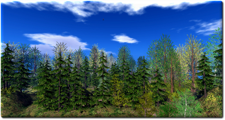 Second Life Marketplace - Seasons 128x128 1-4 sim Forest by Felix 1095 ...