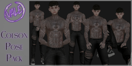 Second Life Marketplace - {V} Colson Pose Pack