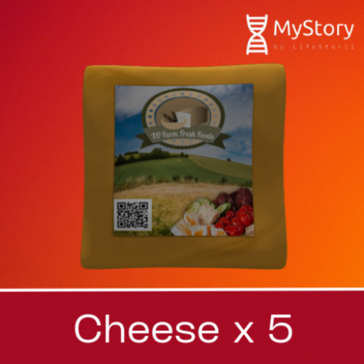 Second Life Marketplace - Cheese - [MyStory] - x5