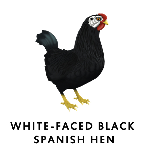 Second Life Marketplace - Amaretto Barnyard Nest: White Faced Black ...