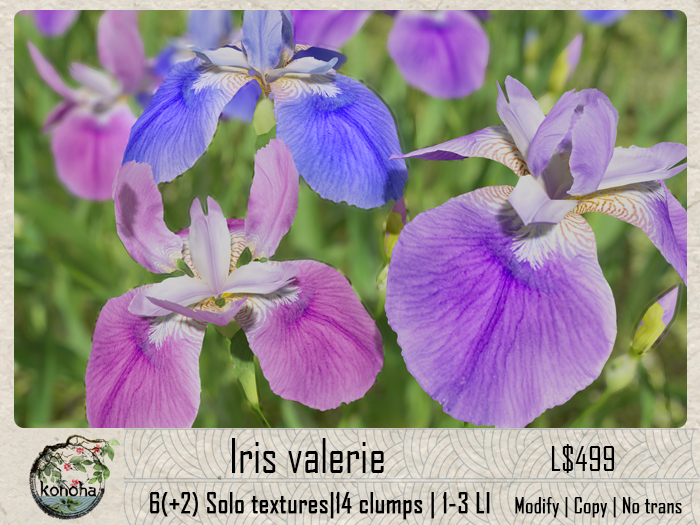 Second Life Marketplace - Konoha - Iris valarie [vcp.006]