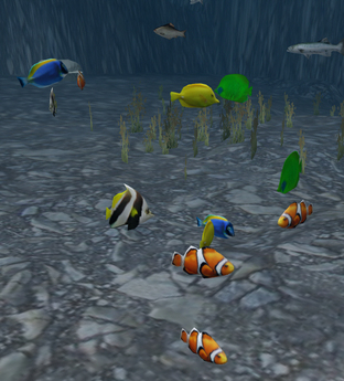 Second Life Marketplace - Fish Pack2 Tropical Fish
