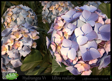 Second Life Marketplace - Hydrangea Flowers