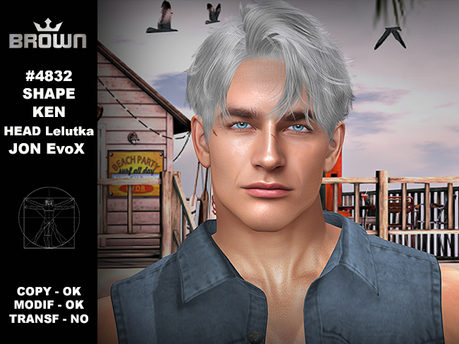 Second Life Marketplace - 4832 SHAPE KEN HEAD Lelutka JON EvoX