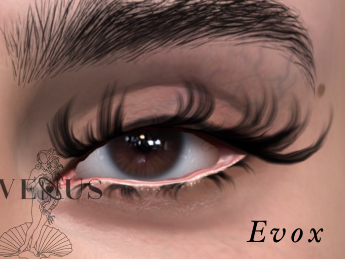 Second Life Marketplace - Venus-lashes mariana