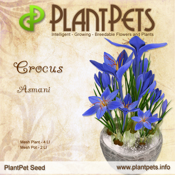 Second Life Marketplace - PlantPet Seed [Crocus *Asmani*]
