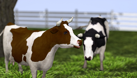 Second Life Marketplace - W&Co. Animated Cows