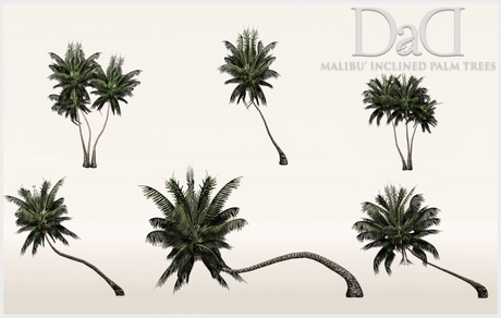 Second Life Marketplace - DaD - Malibu' Inclined Palm Trees Collection