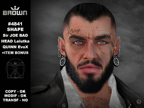 Second Life Marketplace - 4841 SHAPE Sir JOE BAD HEAD Lelutka QUINN EvoX