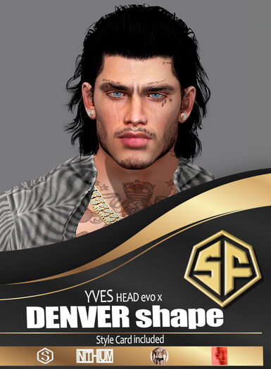 Second Life Marketplace - SF_ lelutka Yves head 3.1 evox_ [ Denver shape ]