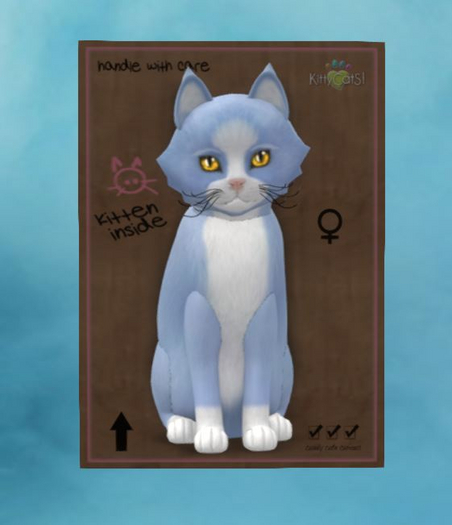 Second Life Marketplace - Chateau Cat - Powder Puff No. 1 - Tipped Black