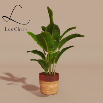 Second Life Marketplace - LouChara Orla Potted Plant