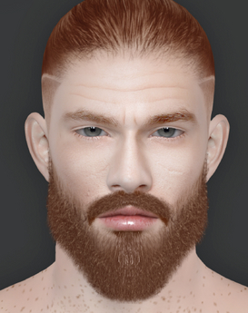 Second Life Marketplace - EIRIK SHAPE AK ADVX JAKE HEAD EVOX