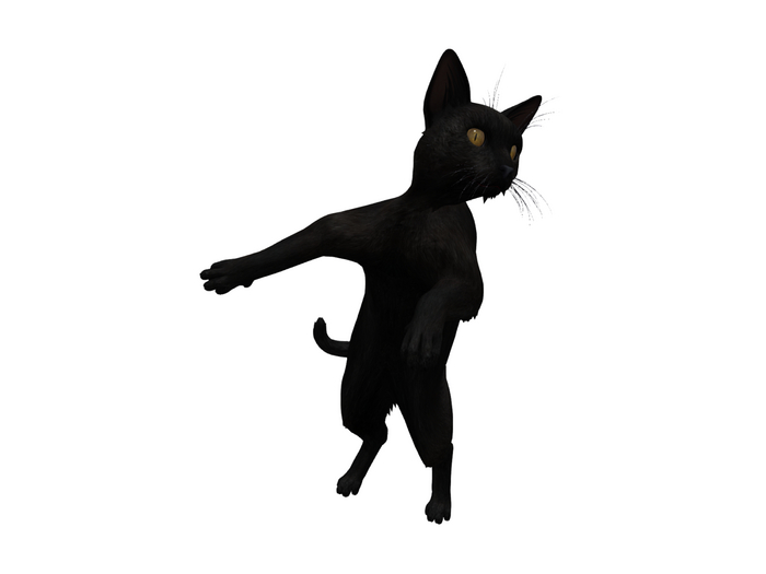 Second Life Marketplace - TWI Wildcat Upright Dance Animation