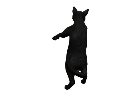 Second Life Marketplace - TWI Wildcat Upright Dance Animation