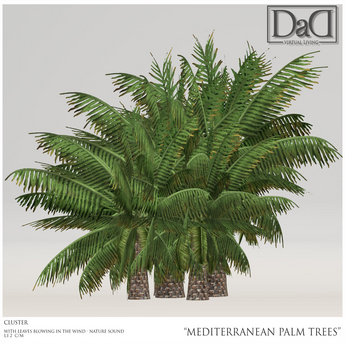 Second Life Marketplace - Mediterranean Palm Trees - Cluster