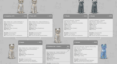 Second Life Marketplace - KittyCatS Box - Chateau Cat - Cream & White ...