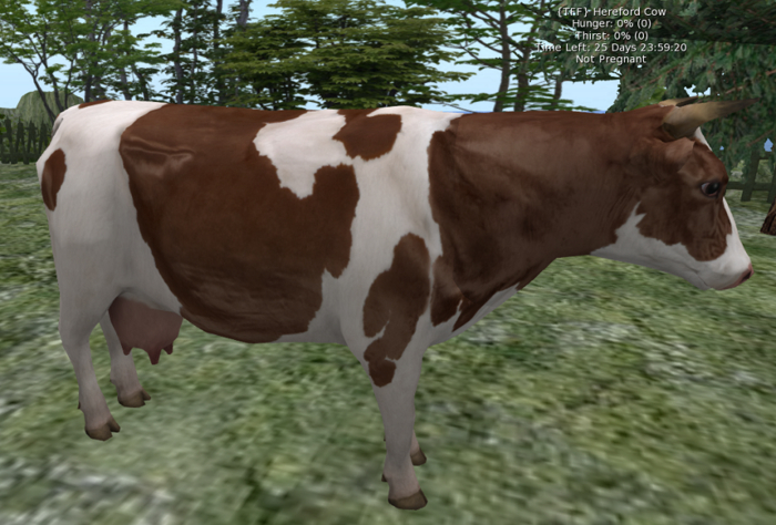 Second Life Marketplace - {TFF} Hereford Cow