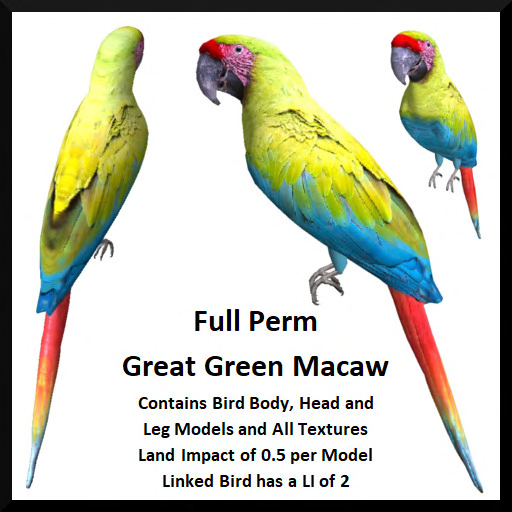 Second Life Marketplace - Full Perm Great Green Macaw