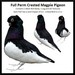 Second Life Marketplace - Full Perm Crested Magpie Pigeon