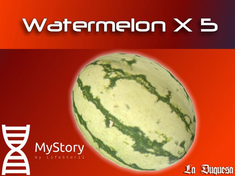 Second Life Marketplace - Watermelon x 5 - [MyStory]