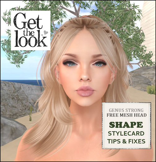 Second Life Marketplace - SHAPE FOR THE FREE GENUS STRONG FACE BENTO ...