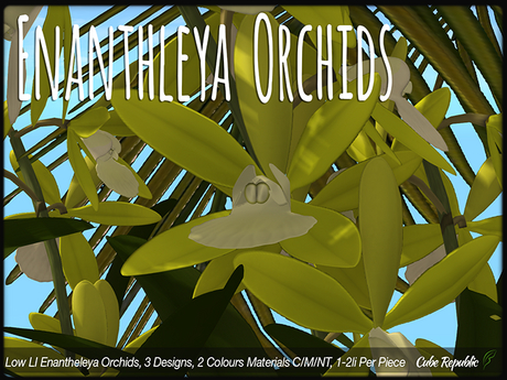 Second Life Marketplace - Enanthleya Orchids, tropical jungle flowers ...
