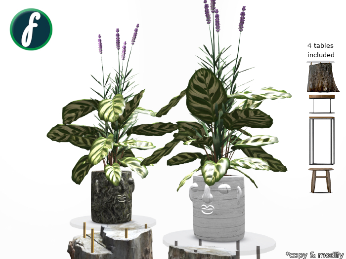 Second Life Marketplace - friller Lavender Flower & Peacock Plant in ...
