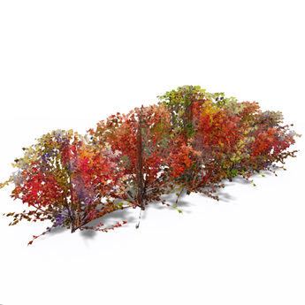 Second Life Marketplace - T-Spot Mesh - Short Line of Bushes - FP - LI=0.6