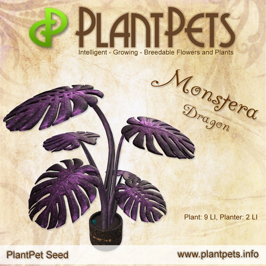 Second Life Marketplace - PlantPet Seed [Monstera *Dragon*] *Rare*