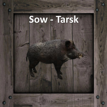 Second Life Marketplace - DFS Sow - Tarsk