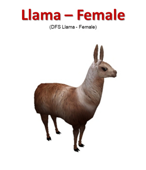 Second Life Marketplace - DFS Llama - Female