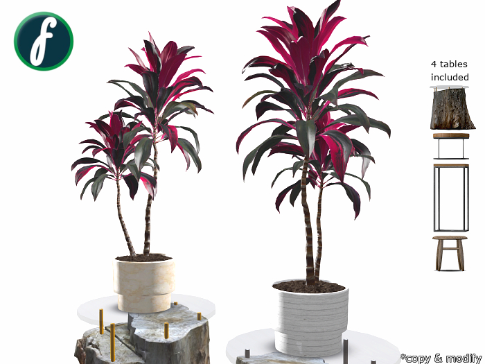 Second Life Marketplace - friller Potted Ti Plant [40 pot textures]