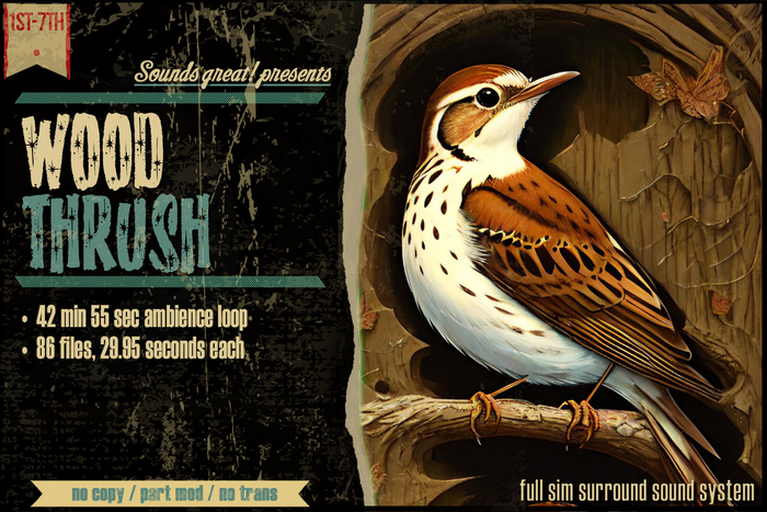 Second Life Marketplace - Sounds Great! Ambient System - Wood Thrush